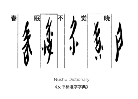 Nüshu 女书 || Un Script Créé Par les Femmes, Pour les Femmes