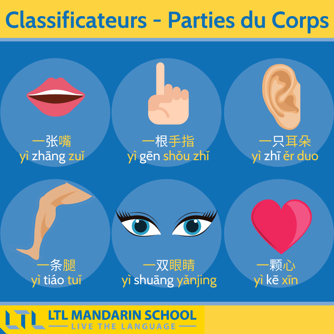 Classificateurs Chinois - Les 12 Indispensables et 59 Plus Fréquents