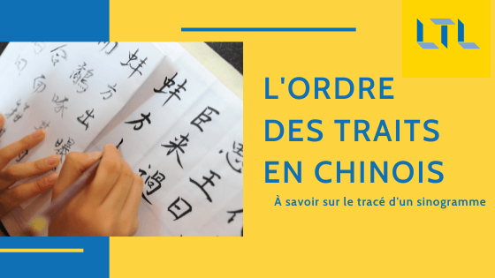 Tracé d’un Sinogramme // 11 Règles à Connaître