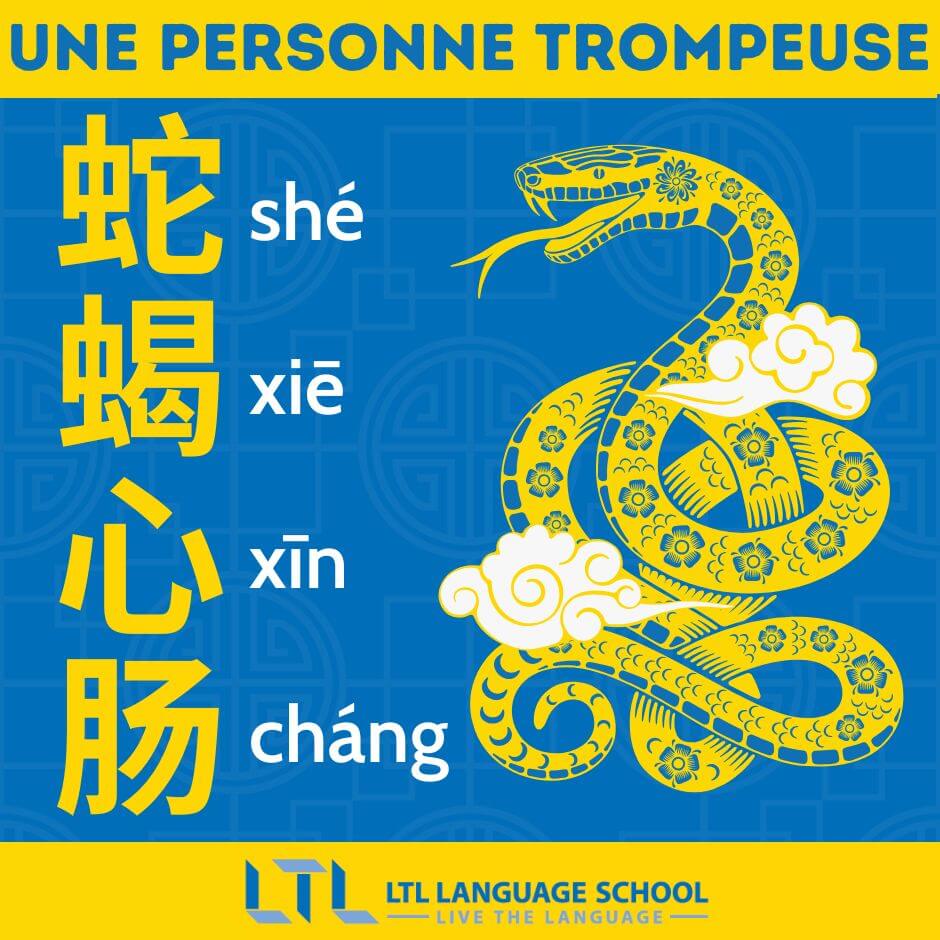 Année du Serpent || Signes du Zodiaque Chinois
